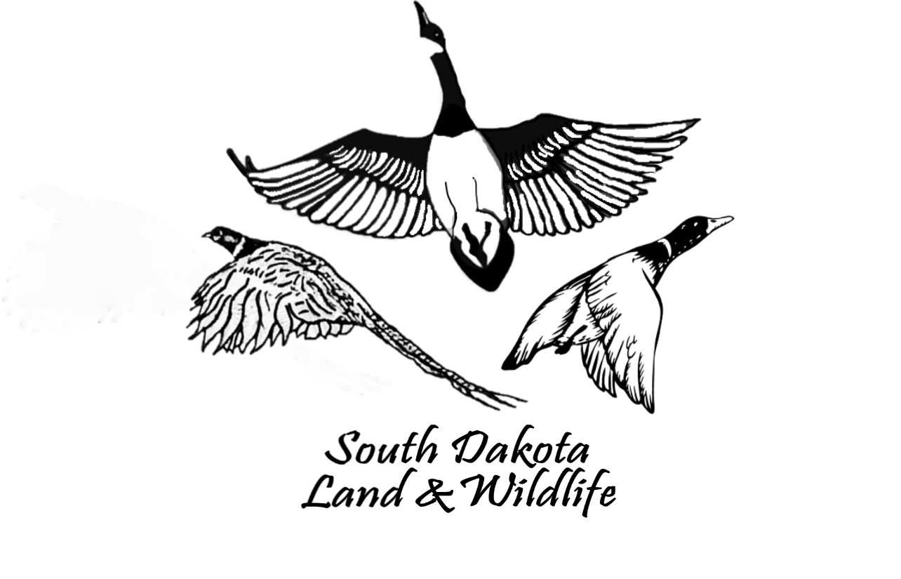 Tri Bird – South Dakota Land & Wildlife